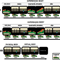 Schema illustrating the experiment.