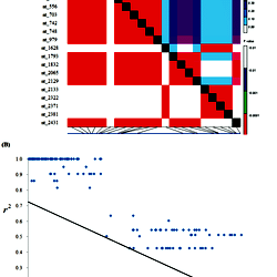LD patterns across the whole locus of ZmBT1.