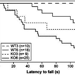 Alteration in latency of fall in four limb hanging wire test.