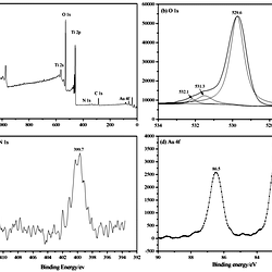 XPS spectra of (a) Au/N-TiO2 and core level spectra of (b) O 1s, (c) N 1s, and (d) Au 4f.