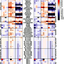Heatmap of fold-changes of metabolites.