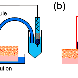 Schematic diagrams of TEP measurement systems.