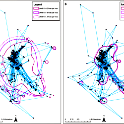 Example of MKDE and KDE home ranges calculated at three different fix ...