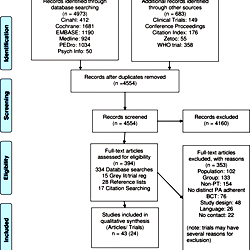 RCT selection flow diagram.