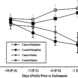 Body weight change in mice used in CPP testing.