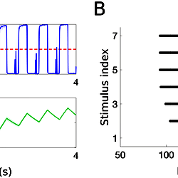 Modeling the wind-up phenomenon.
