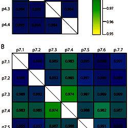 Correlation matrices displaying Pearson's correlation values for scaled ...