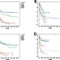Kaplan–Meier analysis of young adult HCC patients based on AJCC (6th ...