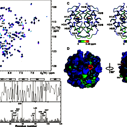 CT interacts with CS2.