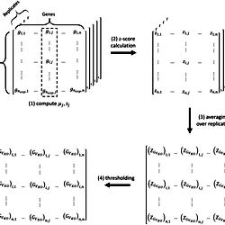 Construction of accessibility matrix from expression data.