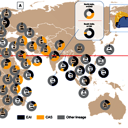 Distribution map of EAI and CAS vs. other MTBC lineages in Eastern ...