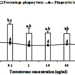 Effect of different concentrations of testosterone on splenic ...