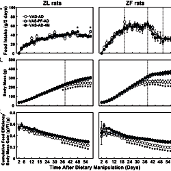 The food intake, body mass and cumulative feed efficiency over 56 days ...