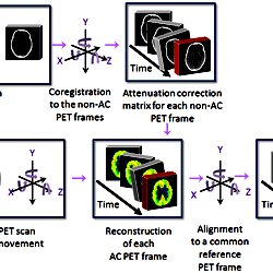 Illustrated overview of the retrospective MC method for dynamic PET/CT ...