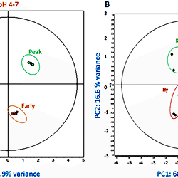 Principal Component Analysis (PCA) of spot maps.
