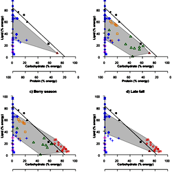 Right-angled mixture triangle (RMT) plots [34] depicting the estimated ...