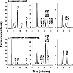 HPLC chromatogram comparison.