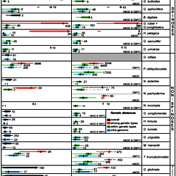 Patristic distances within and among genetic types of planktonic ...