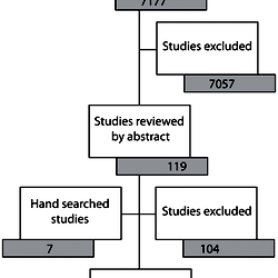 The process of identifying relevant papers.