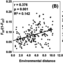 Isolation by distance and isolation by environmental distance.