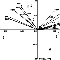 PCA plot based on 19 environmental variables (BIO01–BIO19) describing ...