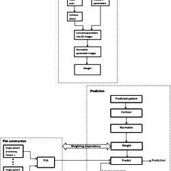 Illustration of PSA calculation and outcome prediction.