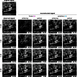 Image reconstruction examples.
