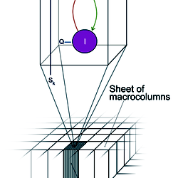 Schematic illustration of the structure of the model of a cortical sheet.