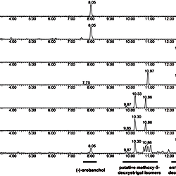 SL analysis of rice root exudates.