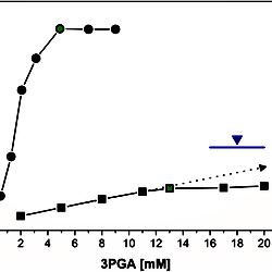 Simulated impact of 3PGA concentration on biomass production in ...