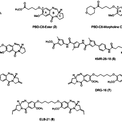 Structures of the PBD monomers and dimers used in the current study.