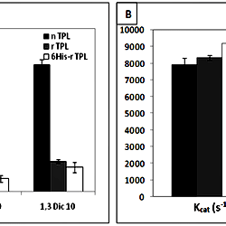 Histogram of the maximum activities of the three TPL forms.