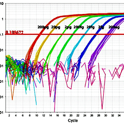 Targeting a highly repeated germline DNA sequence for improved real-time PCR-based detection of ...