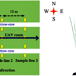 Schematic diagram of test.