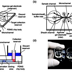 Overview of the microchip.