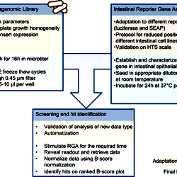 Schematic overviewed of challenges addressed and the resulting ...