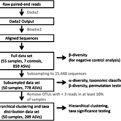 Data processing flow chart.