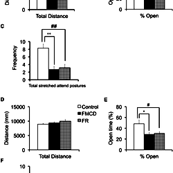 The effects of FMCD on locomotor activity and anxiety-like and risk ...