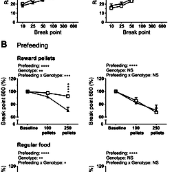 Progressive ratio test performance.