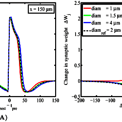 Simple changes to morphology by changing the diameter results in ...