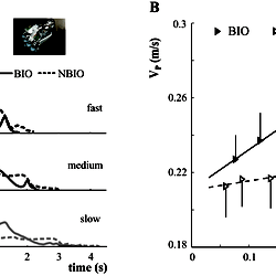 Robot's biological vs. non-biological kinematics.