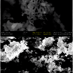 Silicon powder SEM micrographs recorded at different magnification ...