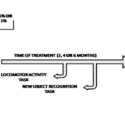 Representation of treatment and experimental procedures to which ...