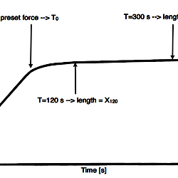 Schematic illustration of the constant-force method.