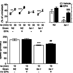 Nineteen hour treatment of fat-1(wa9) with EPA rescues AFT but not ...