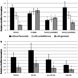Adhesion of S. fredii SMH12 and derivatives on polystyrene surfaces.