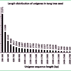 Unigene distribution from the sequenced transcriptome of tung seeds.