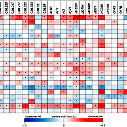 Heat map showing additive allelic effects for the HTR across 24 NAM ...