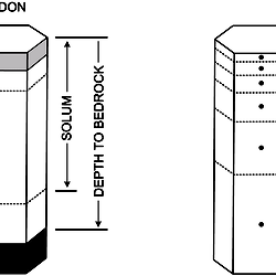 Standard stratification and designation of a soil profile: (left) soil ...
