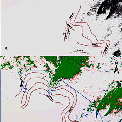 Classification and prediction maps of tree locations in the northern side.